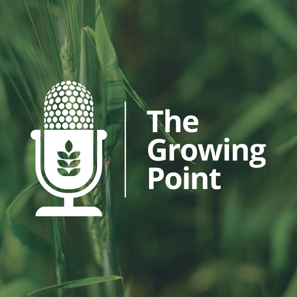 How to interpret your seed test results - a step-by-step guide ...