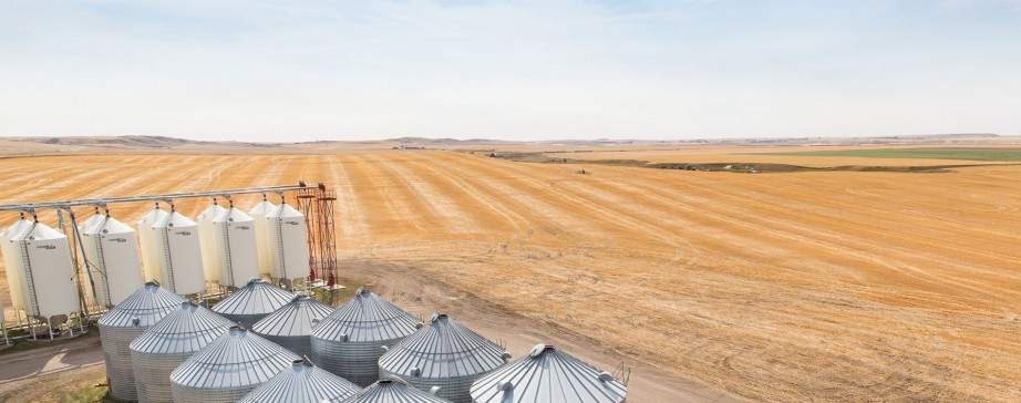 Increasing grain yield in CWRS wheat while maintaining grain protein ...