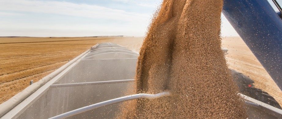 Canada Grain Commission and Modernization of the Canada Grain Act ...