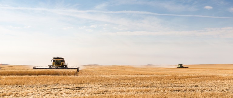 Contact Grain Buyers and Sellers - Alberta Grains
