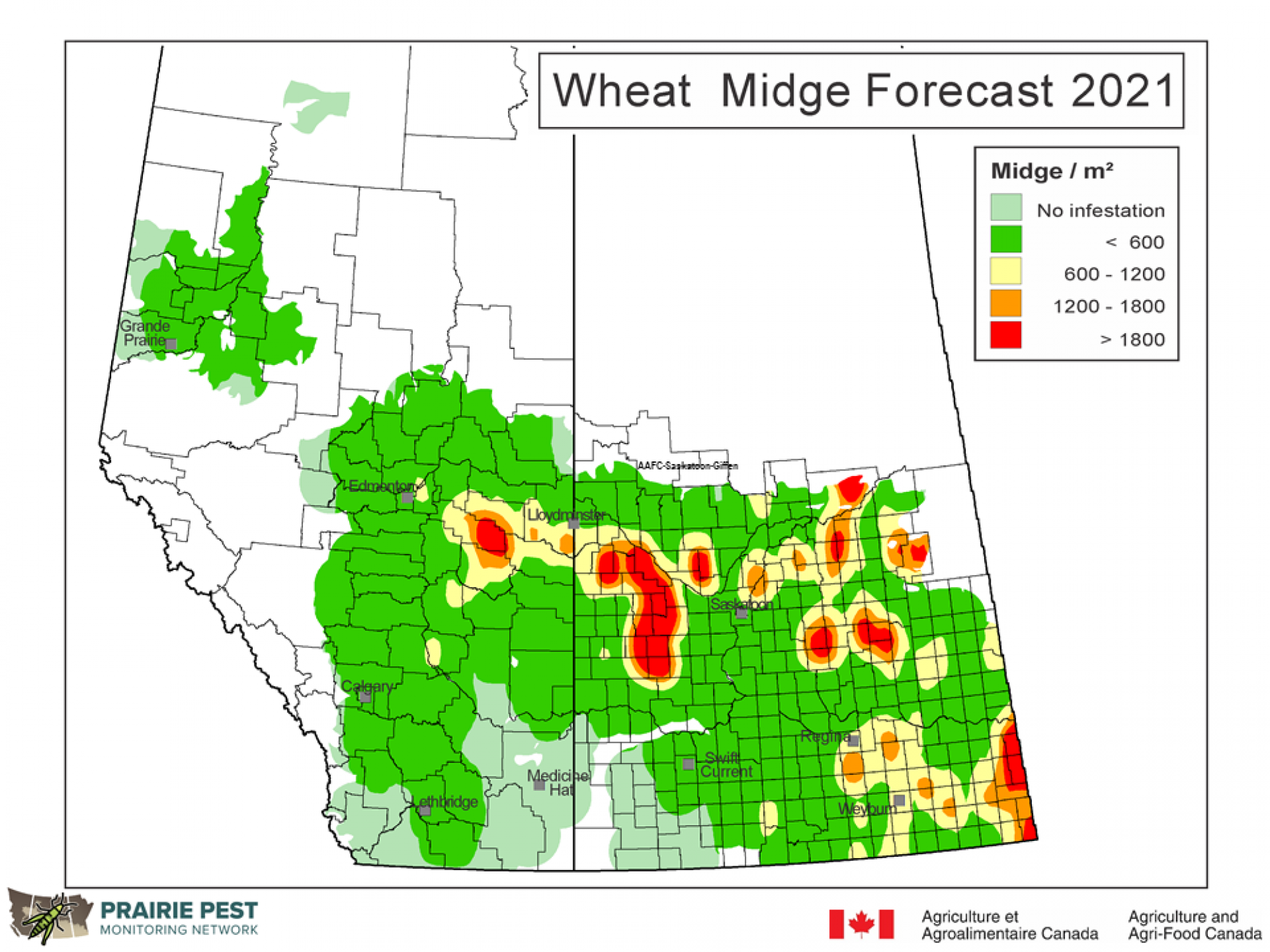2021 Wheat midge forecast map - Alberta Grains