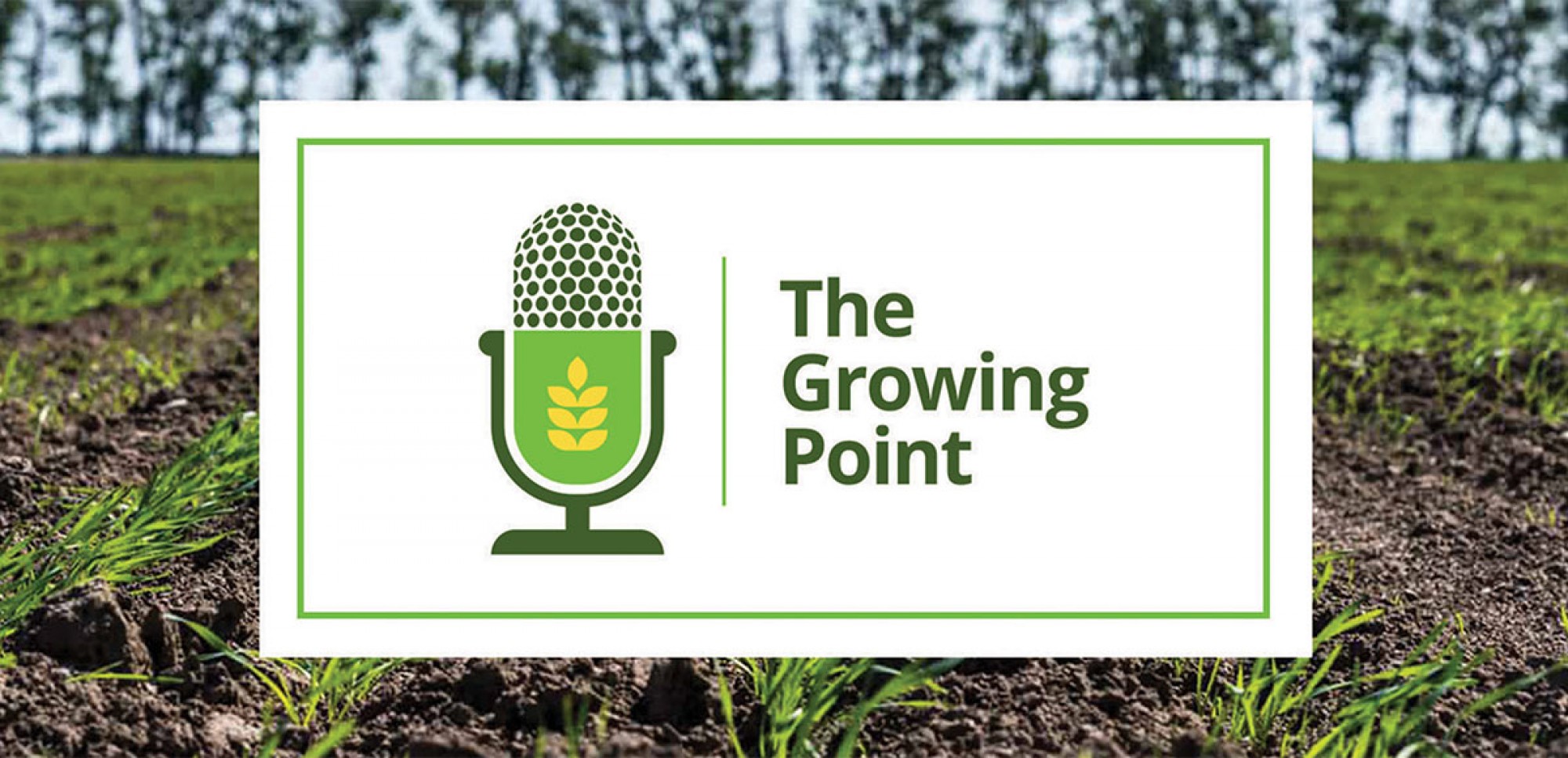 Herbicide carryover - causes and considerations - Alberta Grains