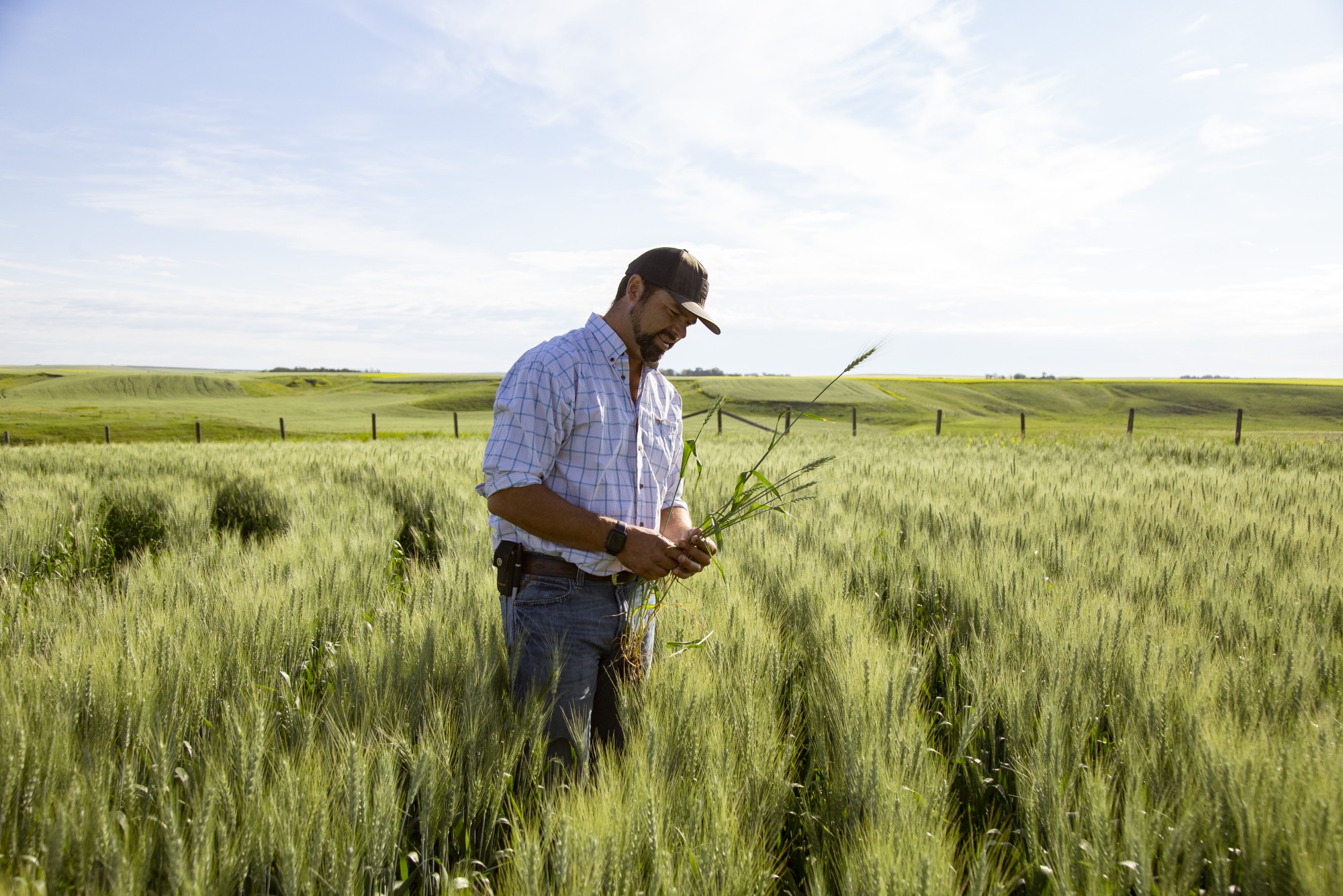 Home - Alberta Grains