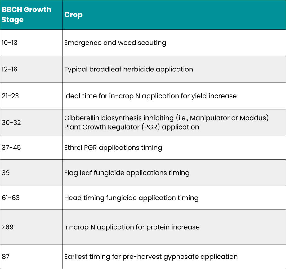 Agronomic staging guide and decisions - Alberta Grains