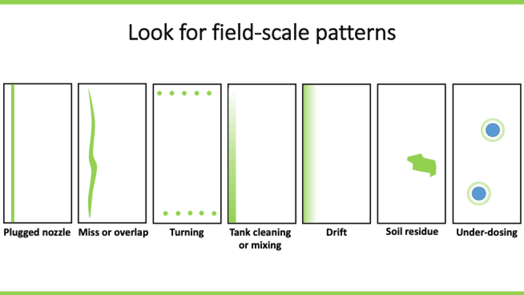 Pre-harvest weed scouting and herbicide resistance - Alberta Grains