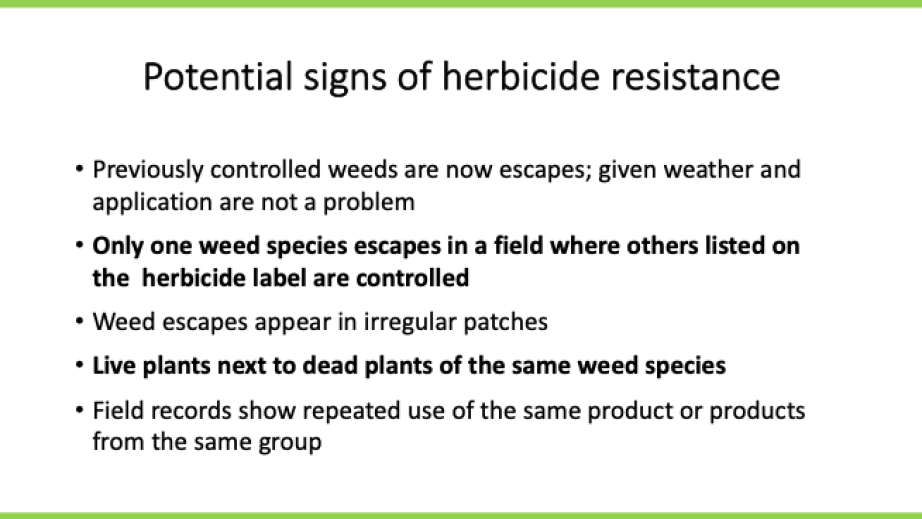 Pre-harvest weed scouting and herbicide resistance - Alberta Grains