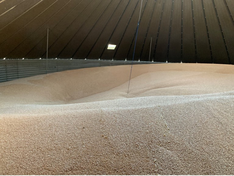 Optimizing the on-farm wheat drying operation - Alberta Grains