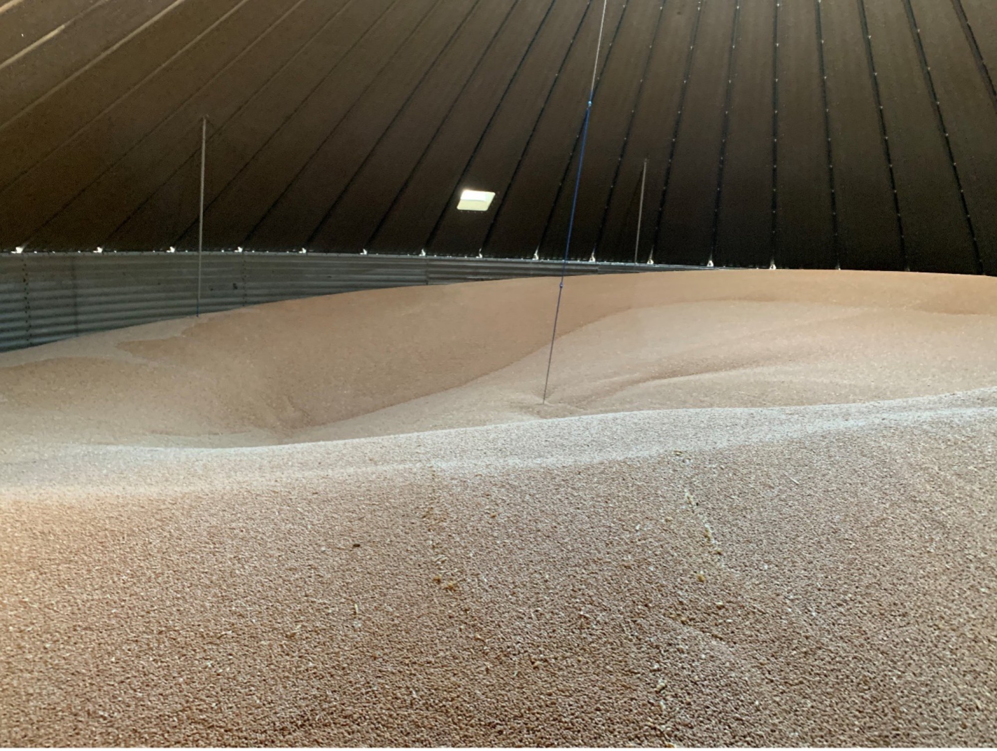 Optimizing the on-farm wheat drying operation - Alberta Grains