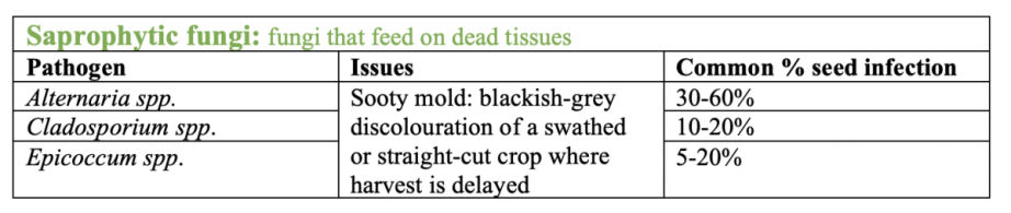 How to interpret your seed test results - a step-by-step guide ...