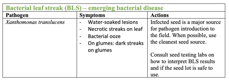 How to interpret your seed test results - a step-by-step guide ...