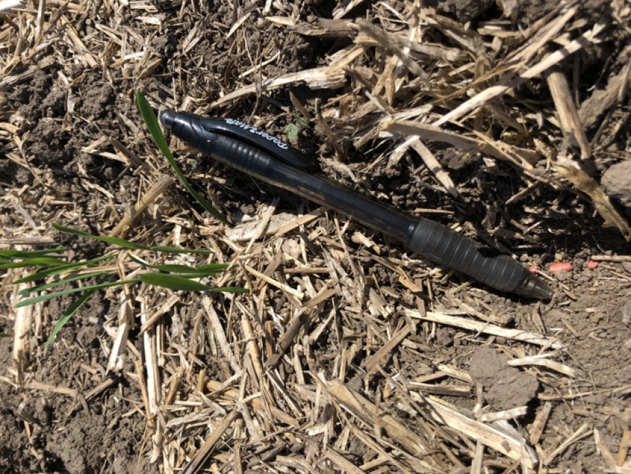 Seeding into dry soils? How to improve consistent emergence - Alberta ...