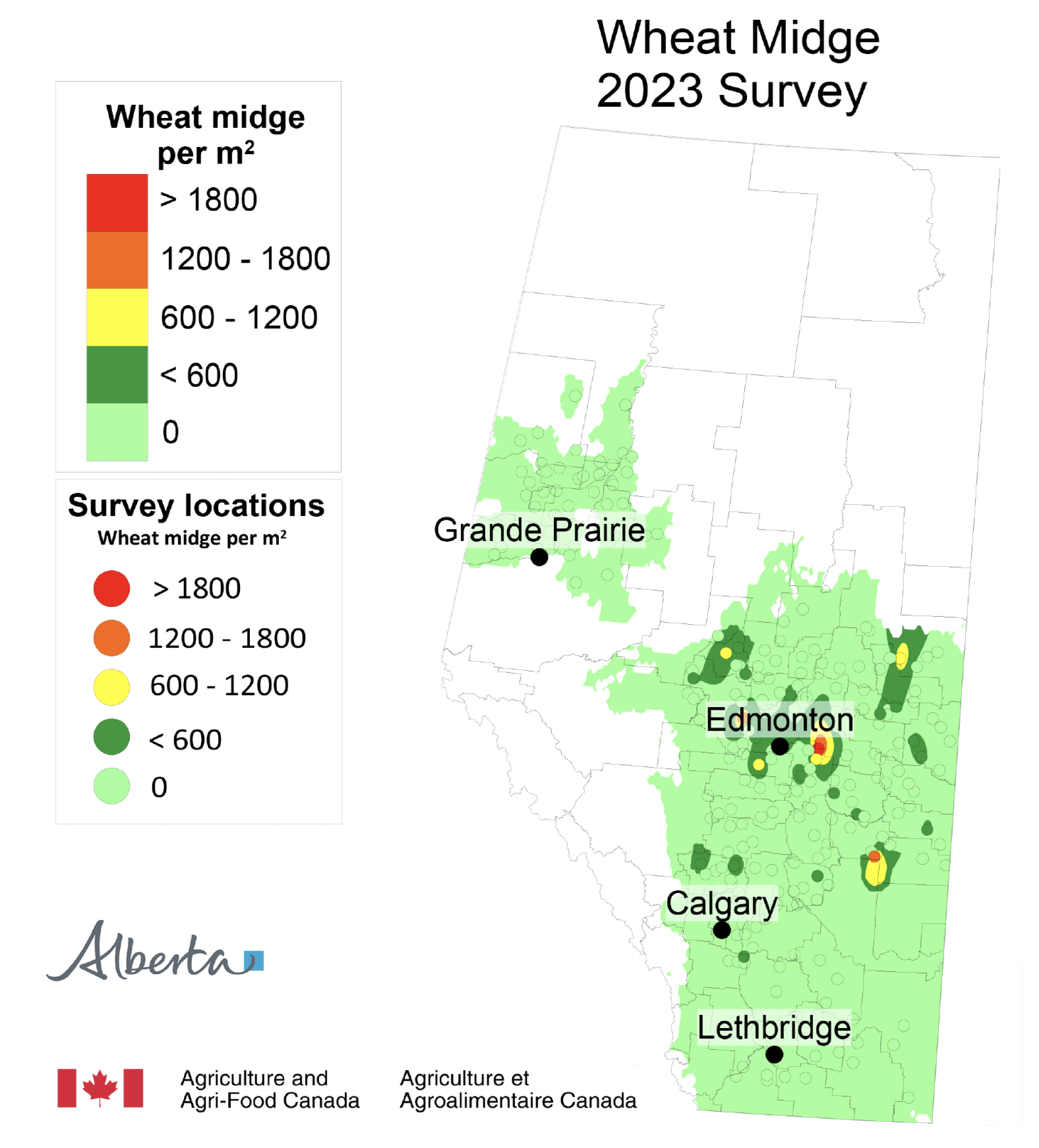Cereal insect pests to keep an eye on in 2024 - Alberta Grains